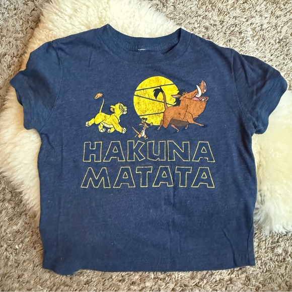 Disney | Shirts & Tops | Disney Lion King Hakuna Matata Navy Blue Tshirt 5t Pumba And Timon ...